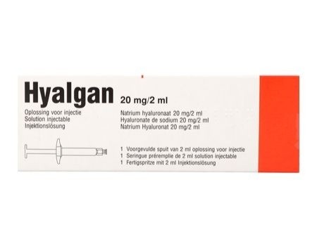 Hyalgan 20 mg/2 mL – Hyaluronic Acid Injection for Osteoarthritis Knee ...